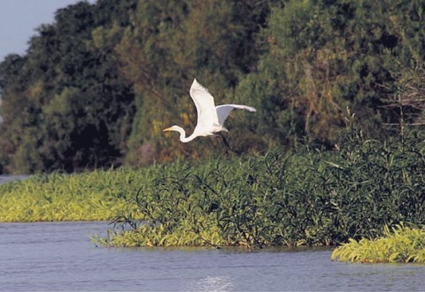 Fondos para el fomento de planes turísticos en el litoral - EL PAÍS Uruguay